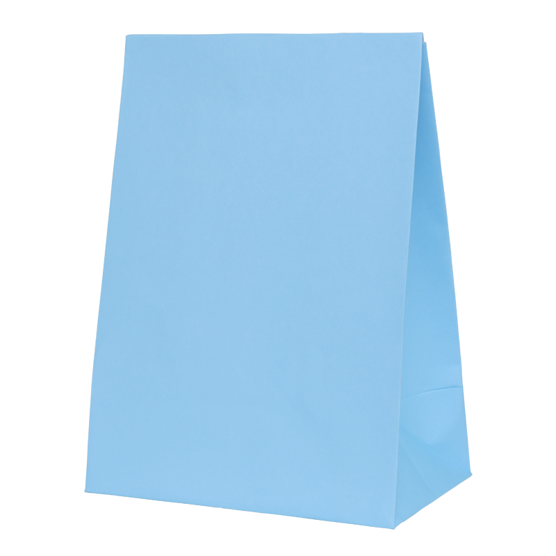 Pastel Blue Party Bags (10 pack) – Ruby Rabbit