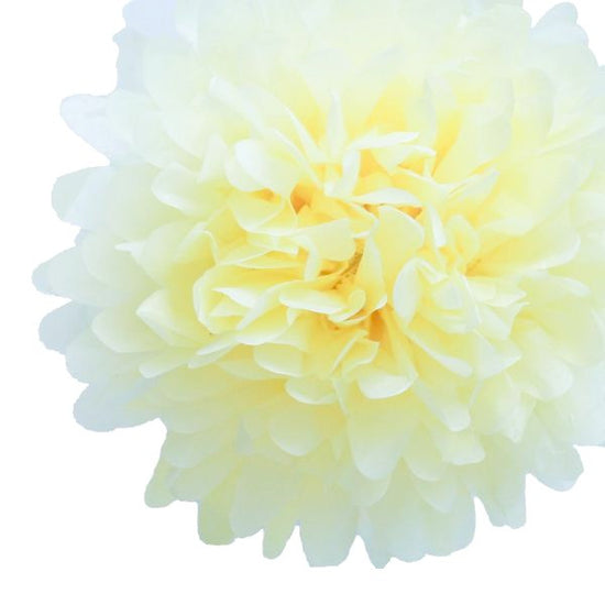 Pom Poms – Ruby Rabbit
